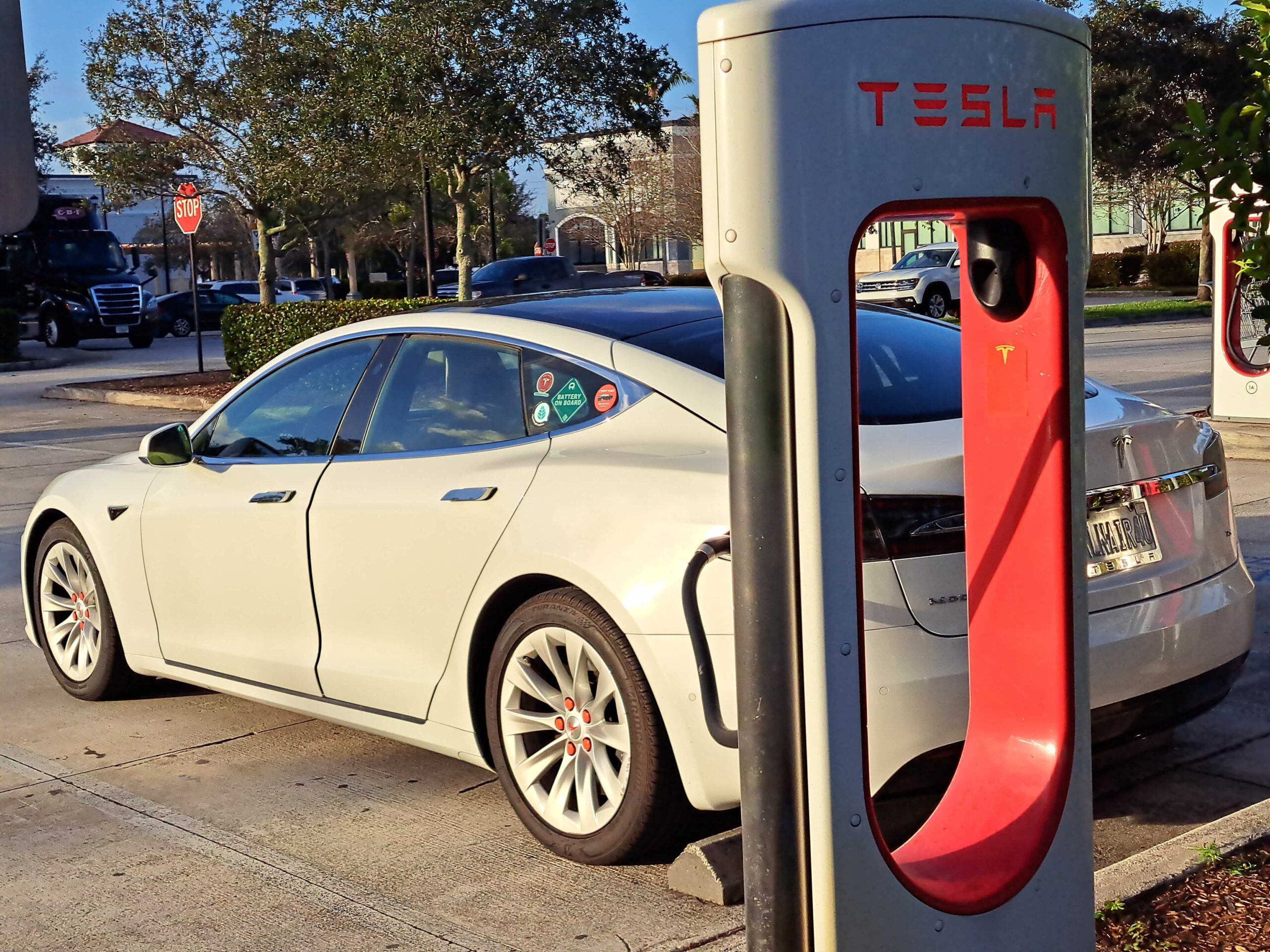 Electric Vehicle Owner Experience | Electric Vehicle Society